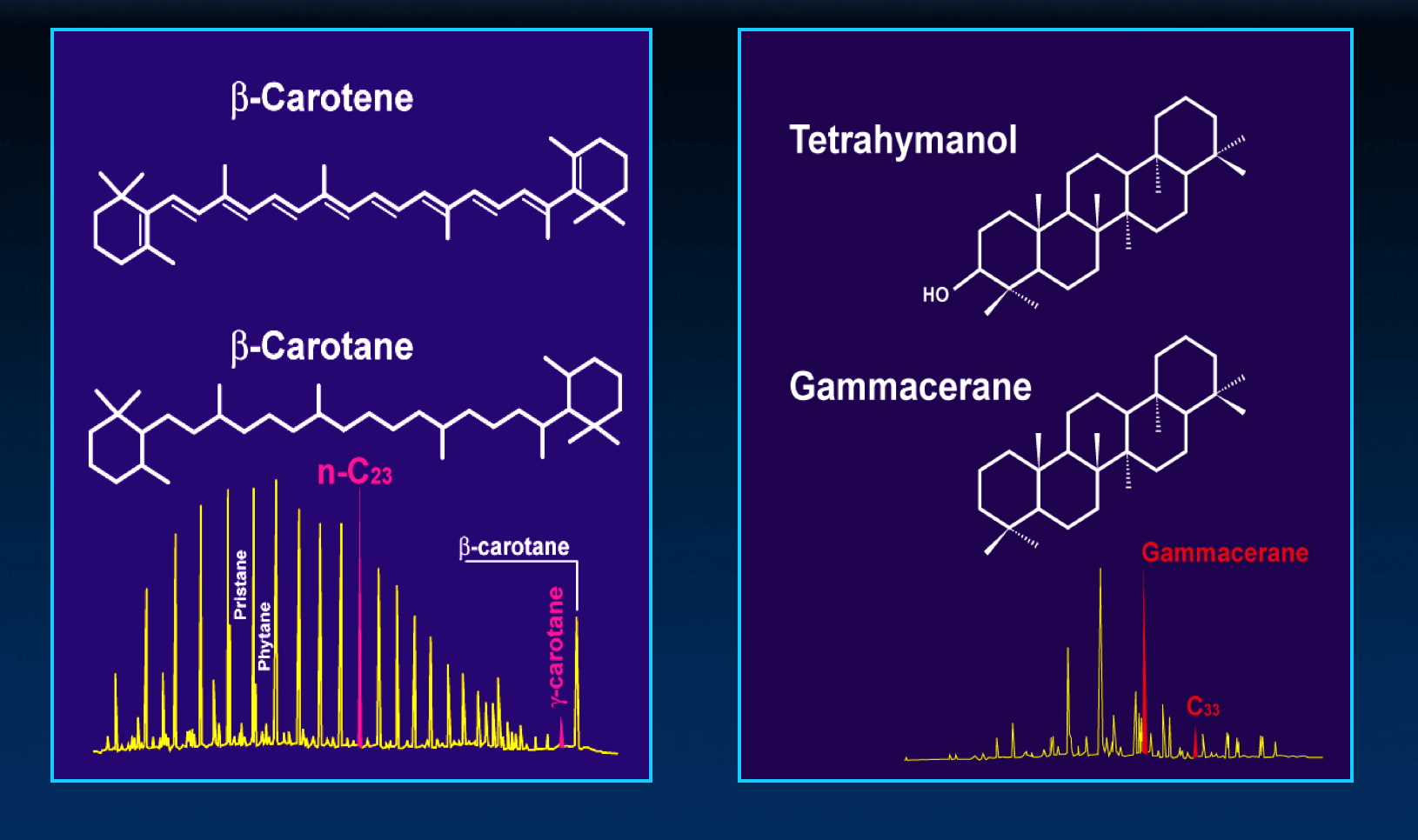 Oil & Gas Geochemistry - Brazil Petroleum Studies