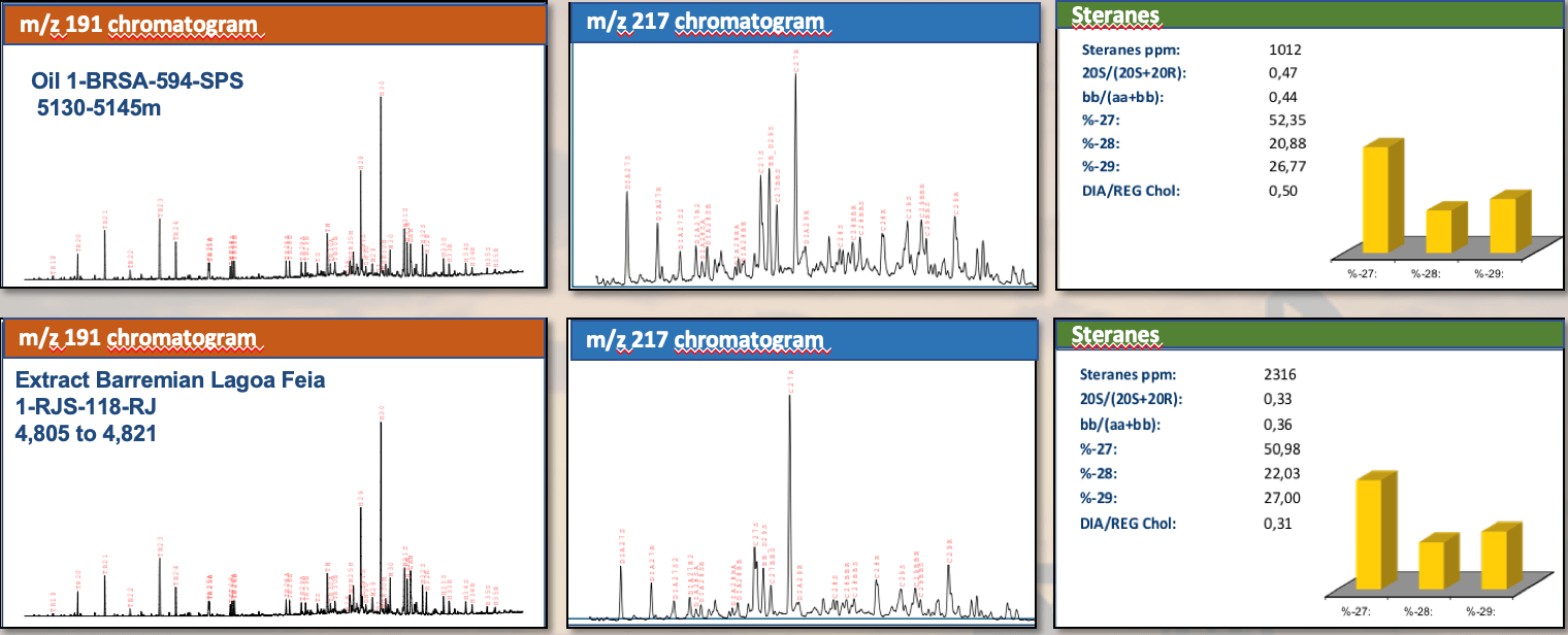 Oil & Gas Geochemistry - Brazil Petroleum Studies