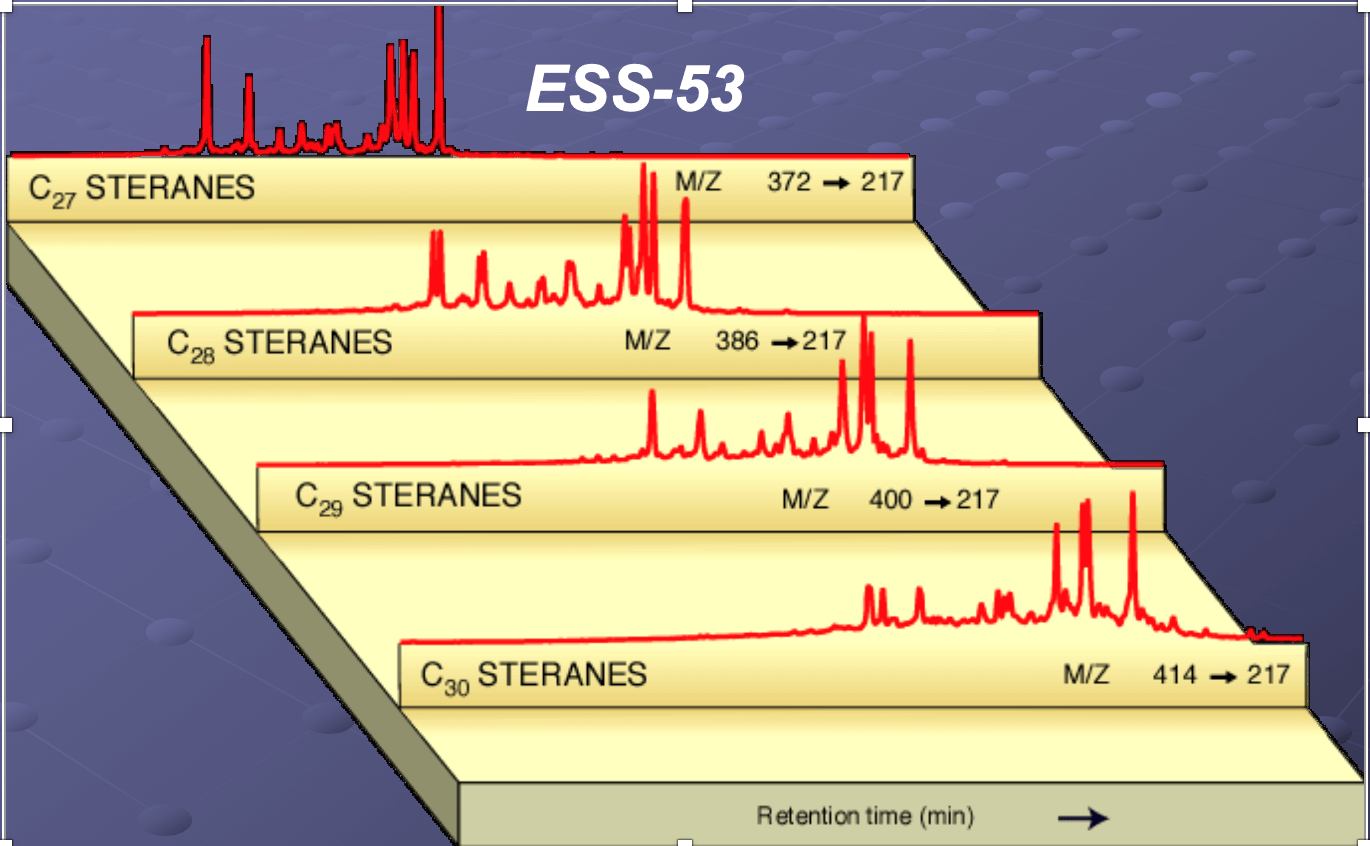 Oil & Gas Geochemistry - Brazil Petroleum Studies