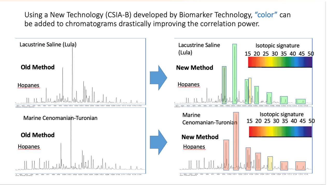 Oil & Gas Geochemistry - Brazil Petroleum Studies